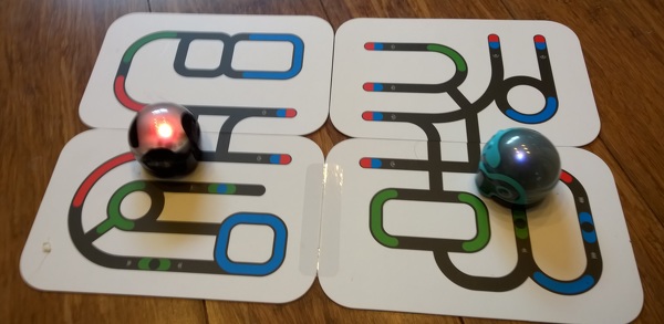 Education Foundation of Martin County - Fund-A-Project - Ozobot STEM!